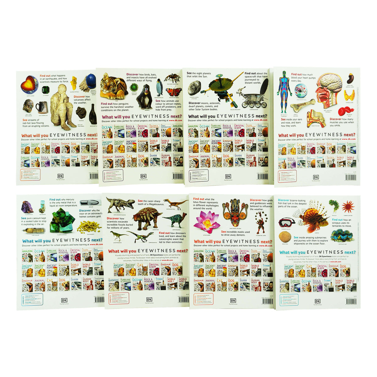 DK Eyewitness Collection 8 Books Set - Ages 9-12 - Paperback – Bangzo Books Wholesale