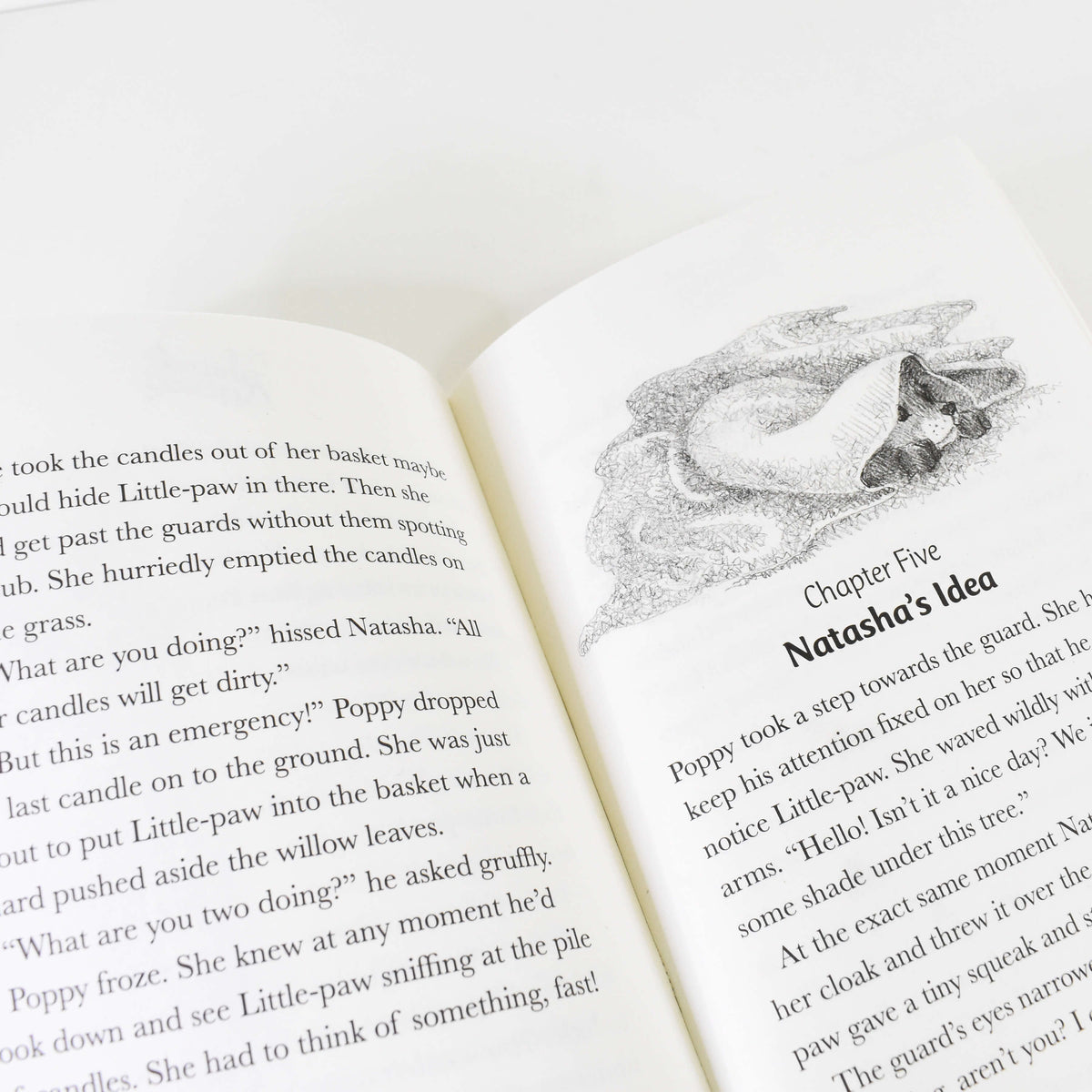 The Secret Rescuers Series 6 Books Set by Paula Harrison - Age 5-9 - P ...